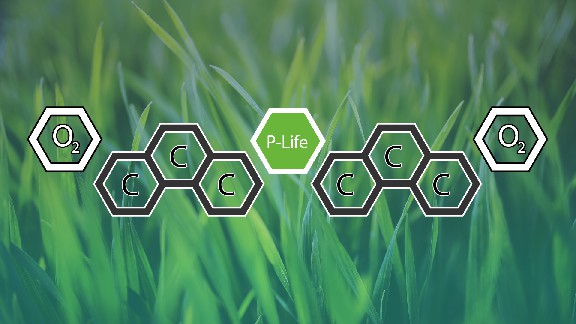 P-Life es 100% biodegradable